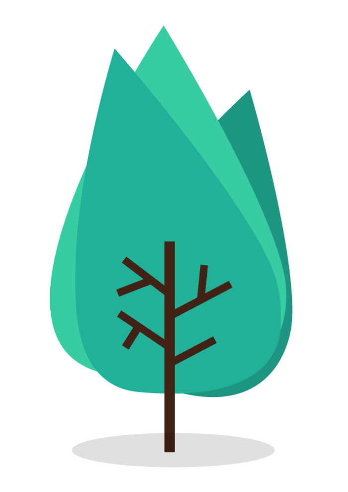 D'où les arbres tiennent-ils leurs noms