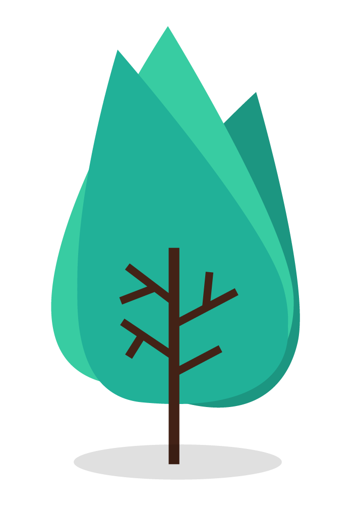 D'où les arbres tiennent-ils leurs noms